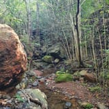 Highfields Falls Trail, Queensland, Australia - 29 Reviews, Map | AllTrails