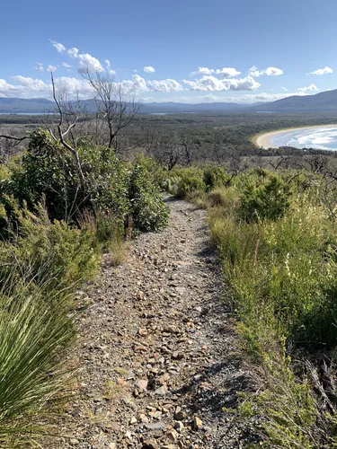 Best Hikes and Trails in Crowdy Bay National Park | AllTrails