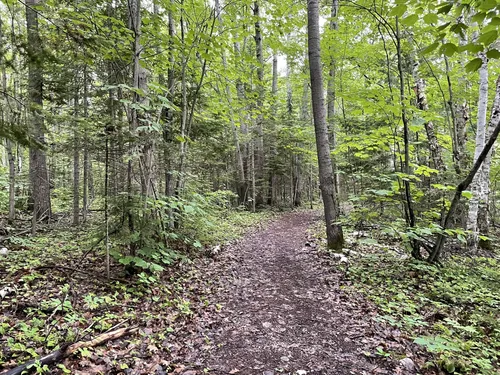 Best Hikes and Trails in Algoma Mills | AllTrails