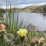 Cheesman Reservoir, Colorado - 95 Reviews, Map | AllTrails