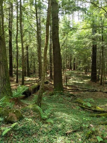 Best Hikes and Trails in Clam River Reserve | AllTrails