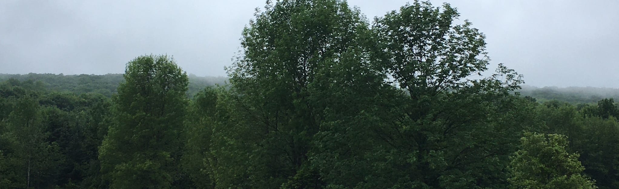 Beaver Valley River Loop, Ontario, Canada - 16 Reviews, Map | AllTrails