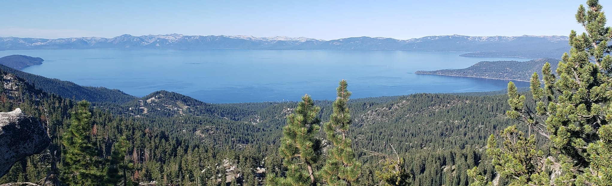Tahoe Rim Trail: Rose Meadow, Nevada - 555 Reviews, Map | AllTrails
