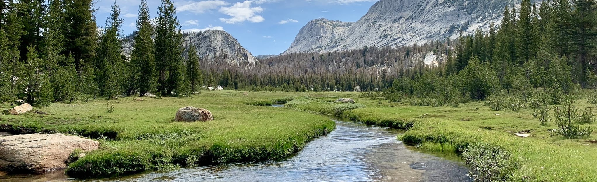 Vogelsang Camp to Merced Lake Trail: 35 Reviews, Map - California ...