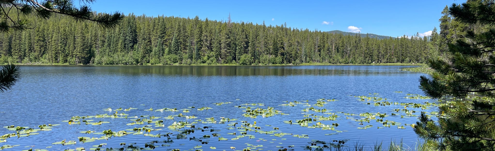 Chapman Trail - Colorado | AllTrails