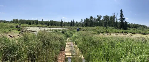10 Best Hikes and Trails in Cooking Lake/Blackfoot Provincial ...