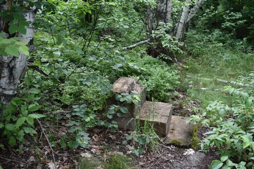 10 Best Trails and Hikes in Parry Sound | AllTrails