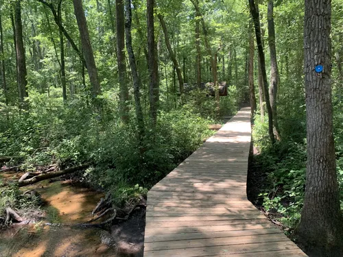 10 Best Trails and Hikes in Southern Pines | AllTrails