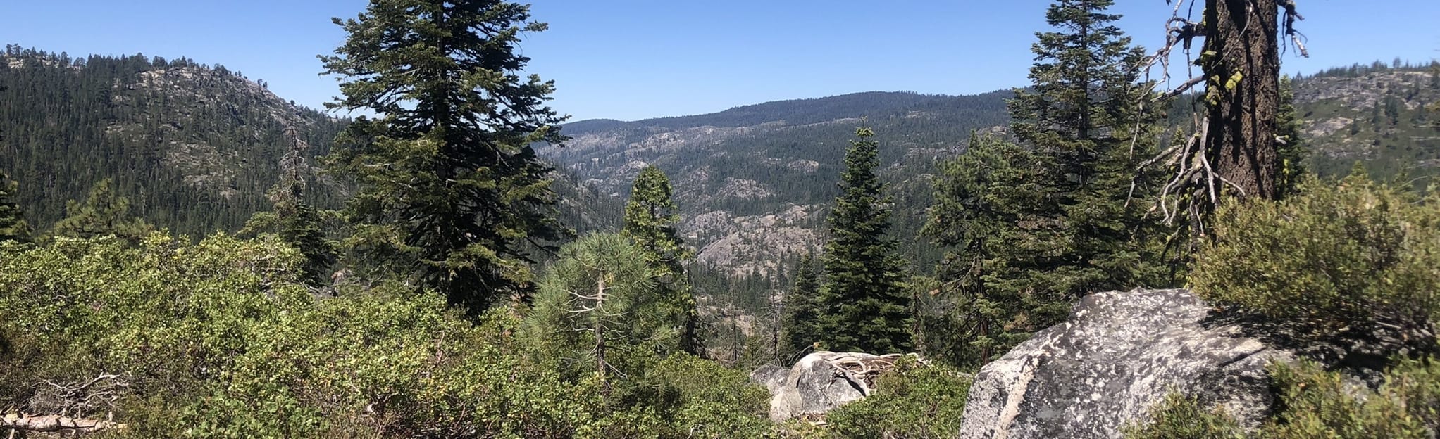 Forest Route 7N01A and Wolfbrae Trail: 4 Reviews, Map - California ...