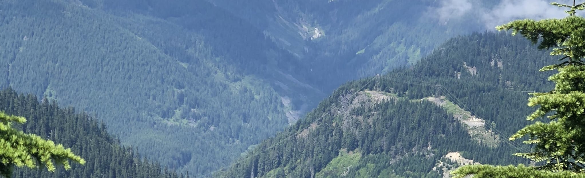 Mount Catherine (#1348): 612 Reviews, Map - Washington | AllTrails