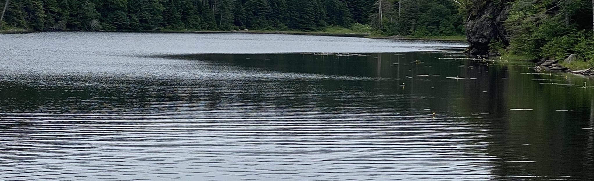 Madonna Peak via Sterling Pond Trail: 1.371 foto - Vermont | AllTrails