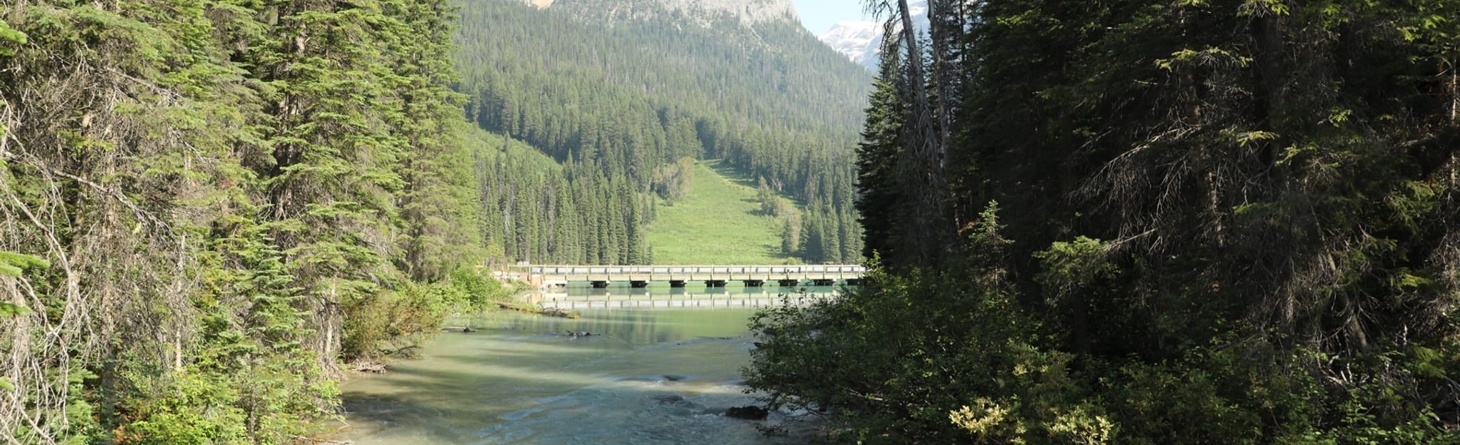 Hamilton Falls, British Columbia, Canada - 231 Reviews, Map | AllTrails