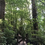Red Town and Wildside Trails, Washington - 549 Reviews, Map | AllTrails