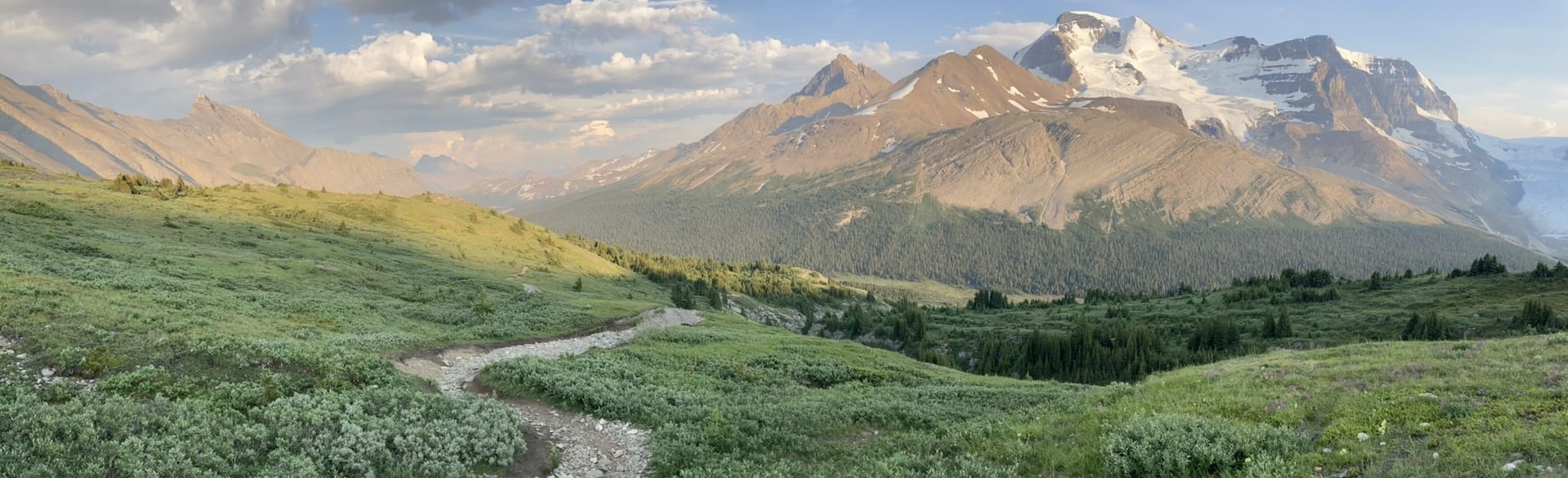 Wilcox Viewpoint via Wilcox Pass: 1413 Reviews, Map - Alberta, Canada ...