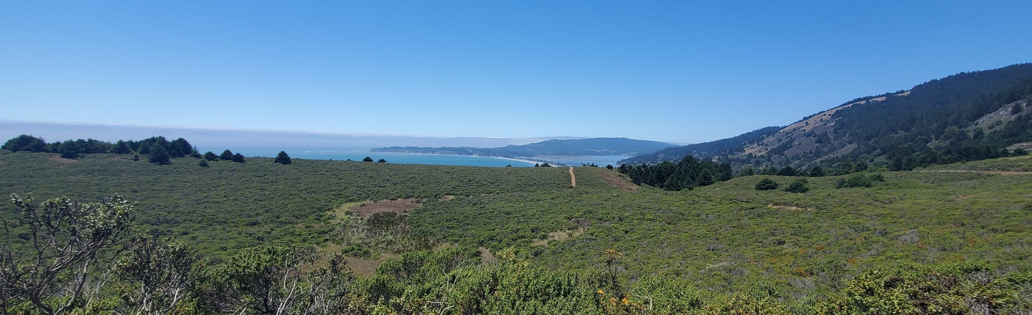 Steep Ravine Trail [CLOSED]: 128 Reviews, Map - California | AllTrails