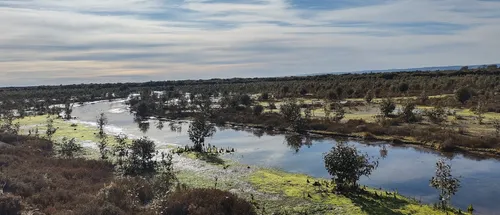 Best Hikes and Trails in Mutton Cove Conservation Reserve | AllTrails