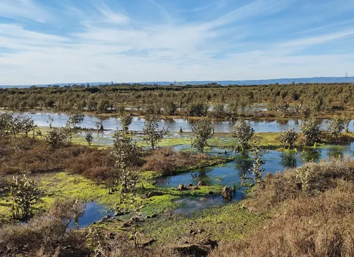 Best Hikes and Trails in Mutton Cove Conservation Reserve | AllTrails