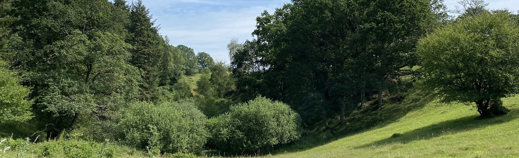 Mols Bjerge MTB Trail - Skærsø Plantage - Trehøje Plantage, Central ...