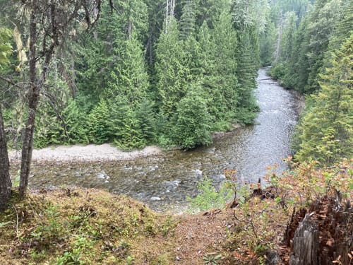 Best Hikes and Trails in Shuswap Lake Provincial Park | AllTrails