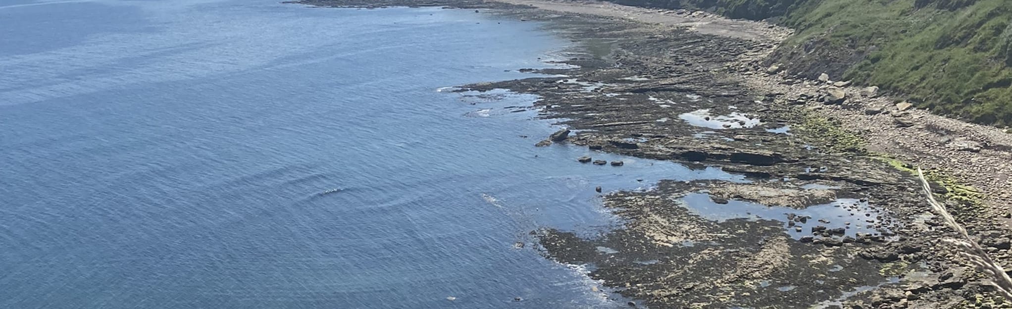 Burniston, Scalby and Cloughton Circular, North Yorkshire, England - 43 ...