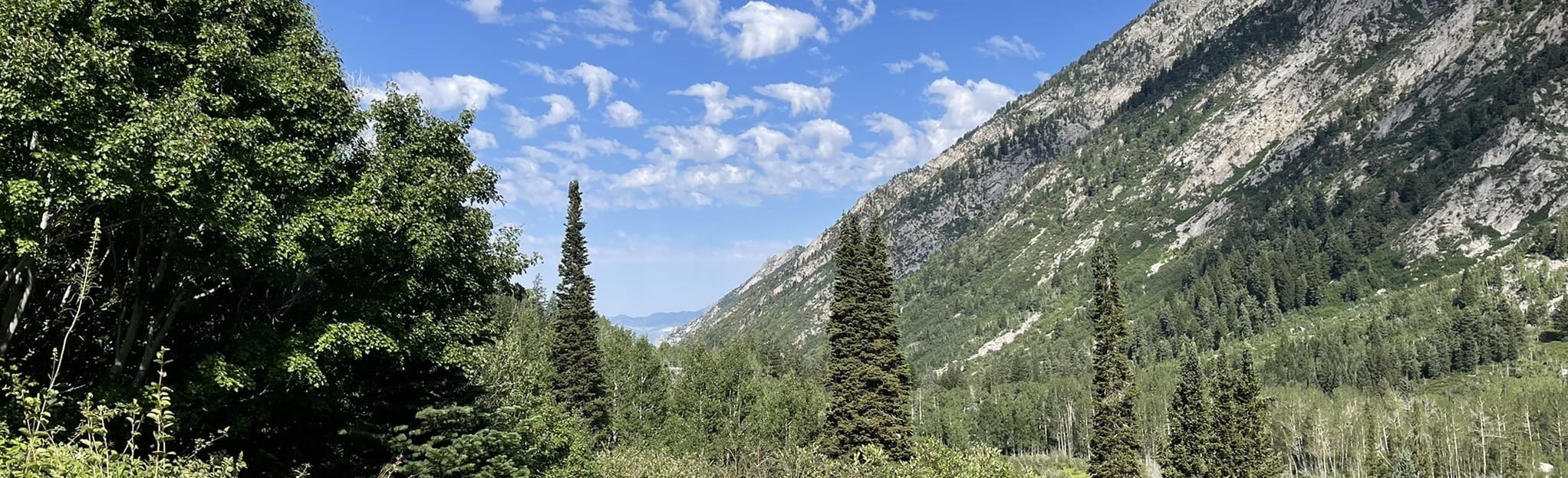 Red Pine Lake and Gloria Falls via White Pine and Red Pine Trail, Utah ...