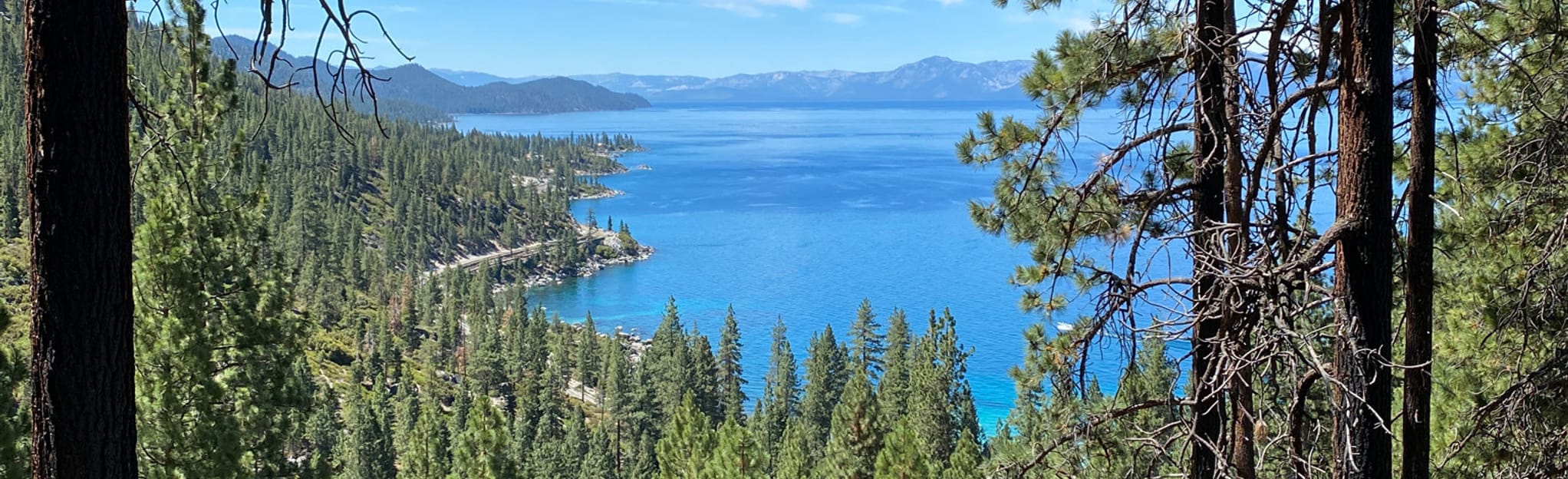 Tunnel Creek Road: Tahoe Meadows to Twin Lakes - Nevada | AllTrails