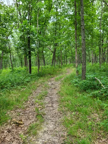 Best Hikes and Trails in Deer Ridge Conservation Area | AllTrails