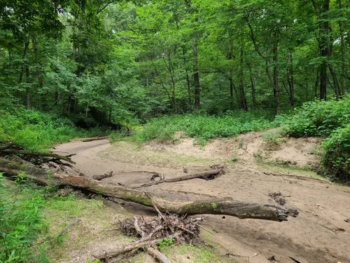 Best Hikes and Trails in Deer Ridge Conservation Area | AllTrails