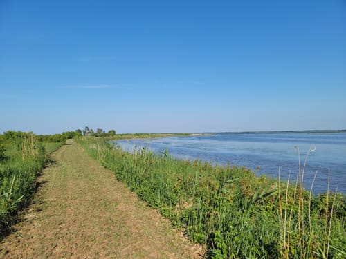 Best Hikes and Trails in Manipogo Provincial Park | AllTrails