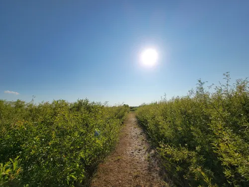 Best Hikes and Trails in Manipogo Provincial Park | AllTrails