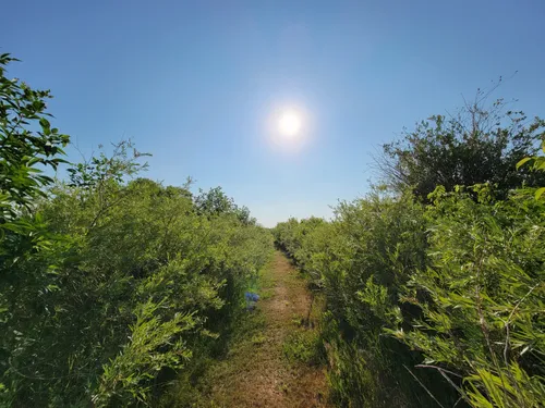 Best Hikes and Trails in Manipogo Provincial Park | AllTrails