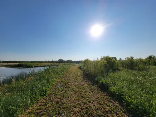 Best Hikes and Trails in Manipogo Provincial Park | AllTrails