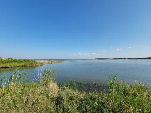 Best Hikes and Trails in Manipogo Provincial Park | AllTrails