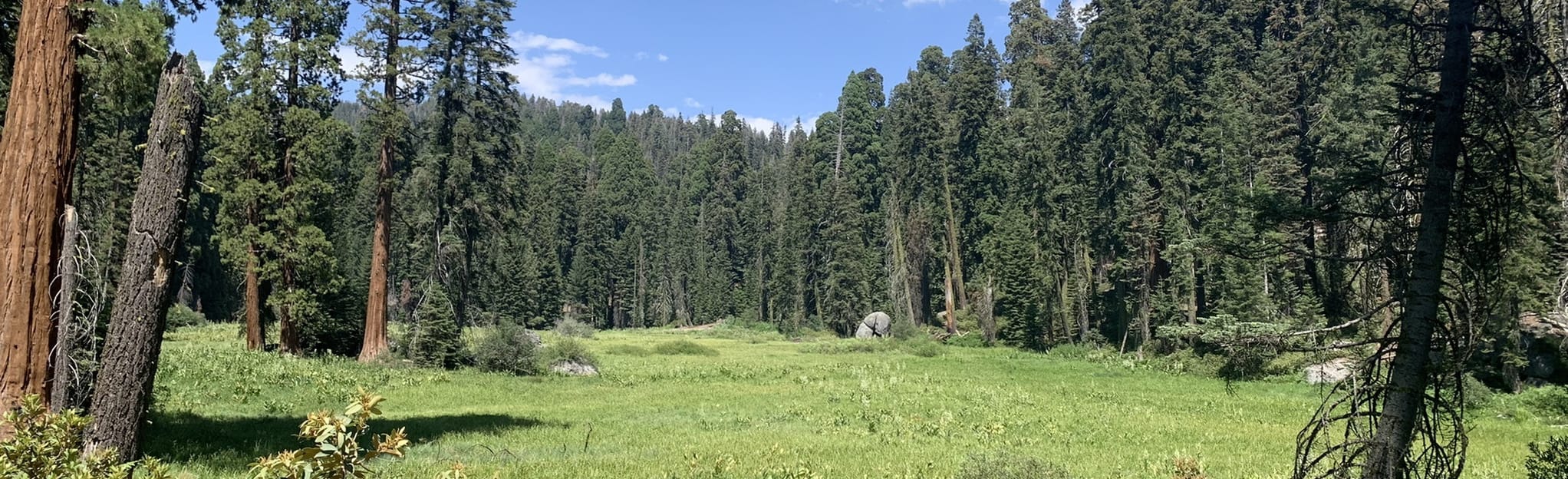 Crescent Meadow Loop, California - 413 Reviews, Map | AllTrails