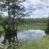 Grassy Waters Preserve: Owahee Trail, Florida - 133 Reviews, Map ...