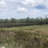 Grassy Waters Preserve: Owahee Trail, Florida - 133 Reviews, Map ...