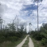 Grassy Waters Preserve: Owahee Trail, Florida - 133 Reviews, Map ...