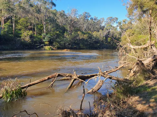 10 Best Hikes and Trails in Warrandyte State Park | AllTrails