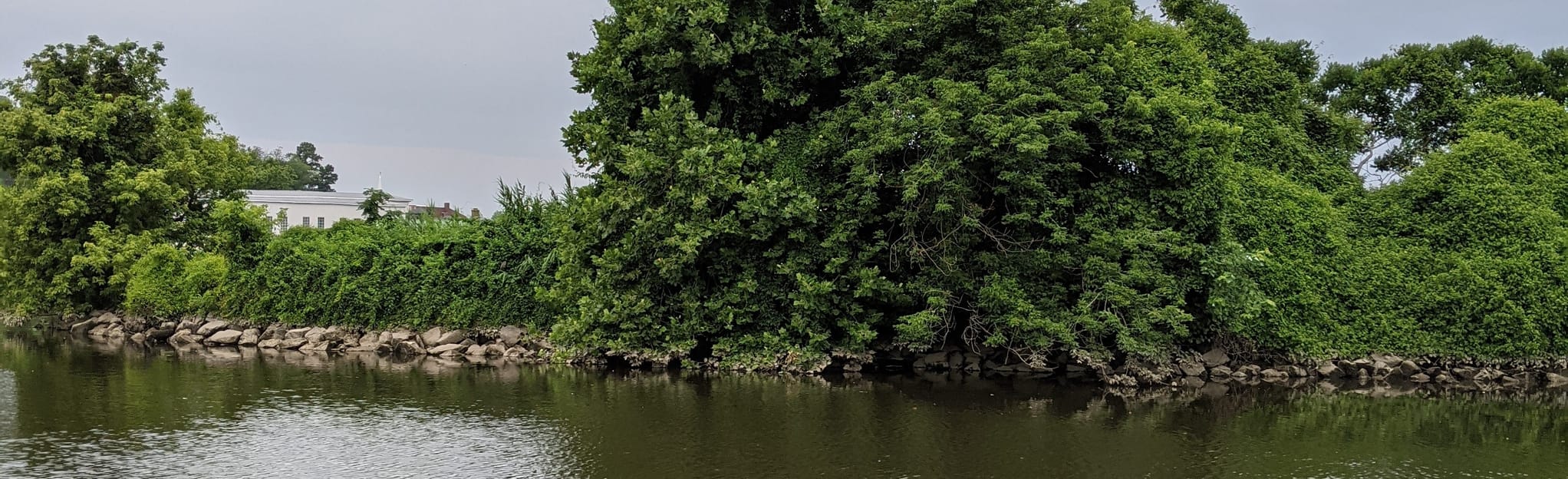 Mispillion Riverwalk, Delaware - 41 Reviews, Map | AllTrails