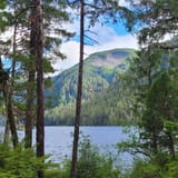 Perseverance Lake Trail, Alaska - 192 Reviews, Map | AllTrails