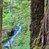 Perseverance Lake Trail, Alaska - 192 Reviews, Map | AllTrails