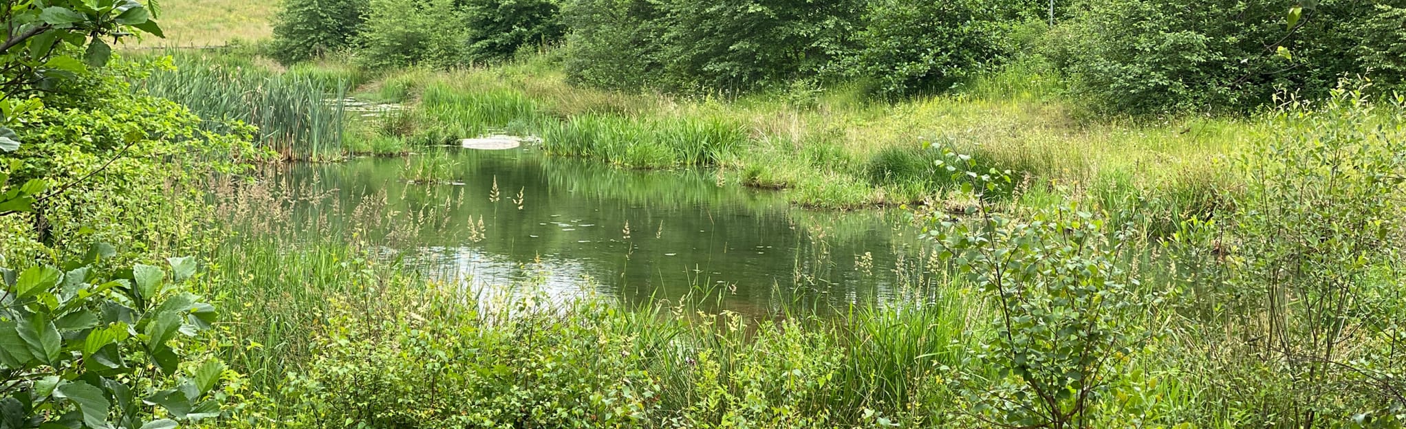 Calderbank and Brownsburn Circular: 10 Reviews, Map - North Lanarkshire ...