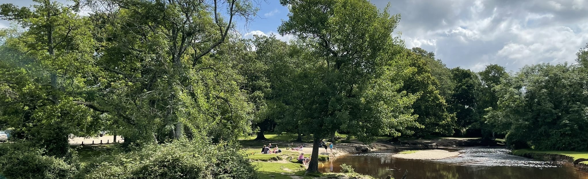 Brockenhurst to Pondhead Inclosure Circular - Hampshire, England ...
