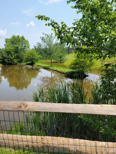 Best Hikes and Trails in Utica Park | AllTrails