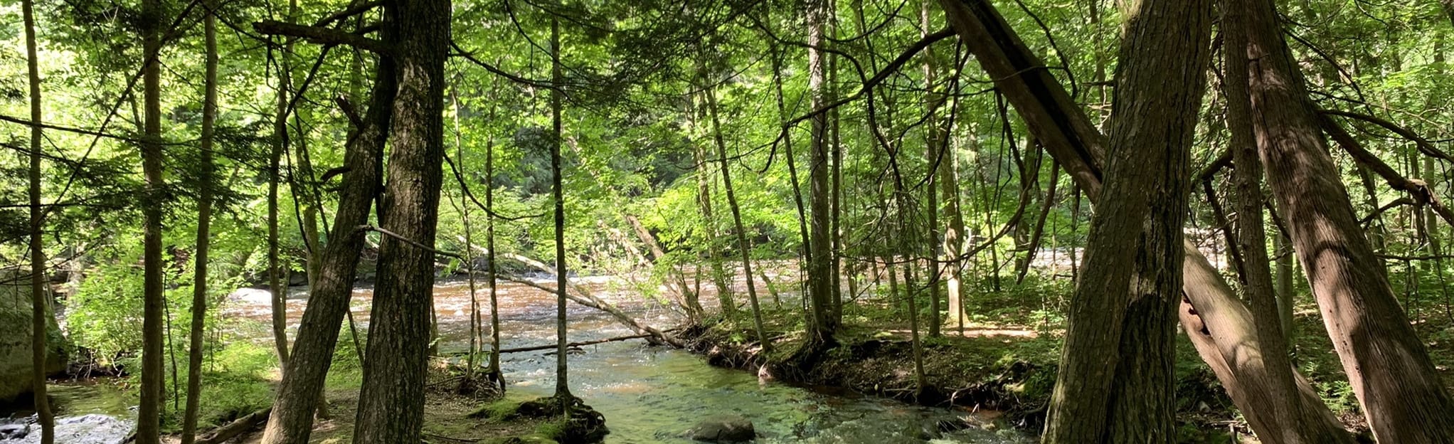 Hayman Falls Trail: 40 Reviews, Map - Wisconsin | AllTrails