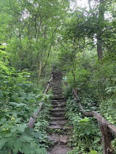 Best City Walk Trails in Hamilton Conservation Authority | AllTrails