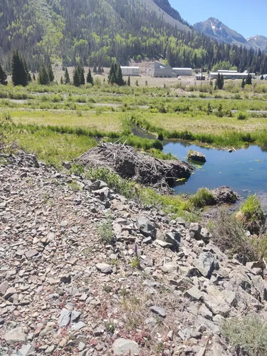 10 Best Easy Trails in Silverton | AllTrails