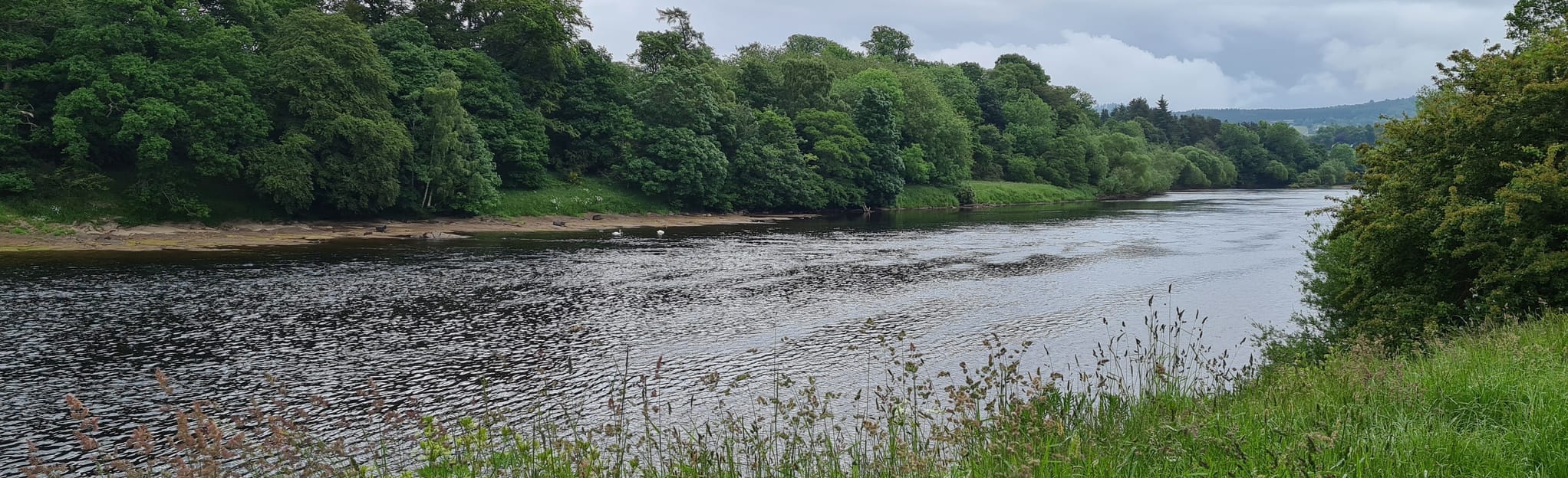 River Tay and River Almond Path, Perth and Kinross, Scotland - 22 ...