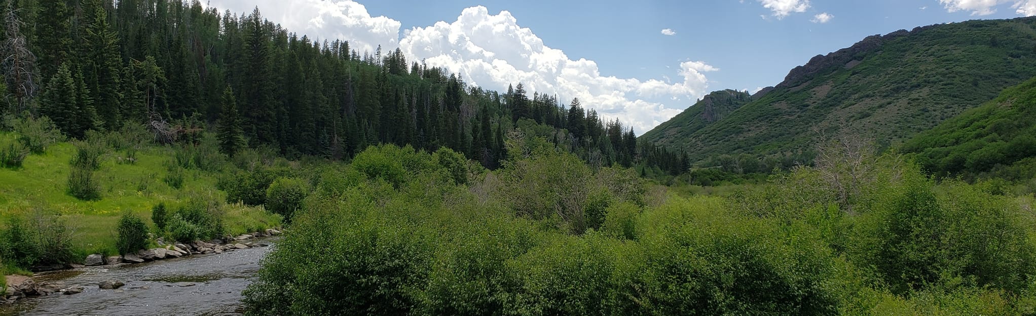 Sarvis Creek, Colorado - 145 Reviews, Map | AllTrails