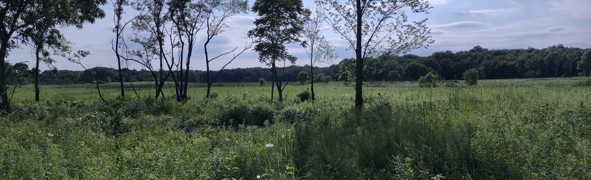 Herrick Lake Trail, Illinois - 1,310 Reviews, Map | AllTrails